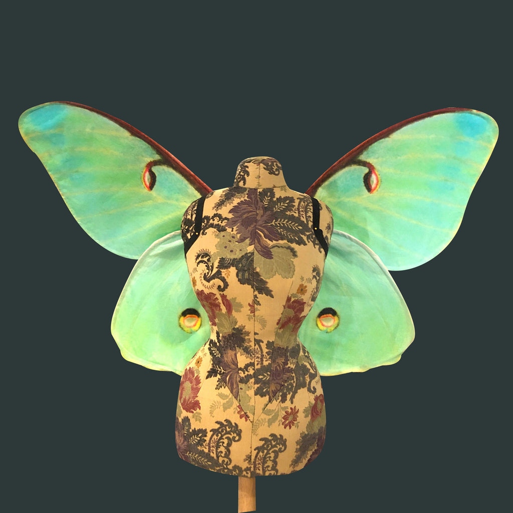 Large LUNA MOTH Fairy Wings Costume - Fairy Halloween Costume Wings ...