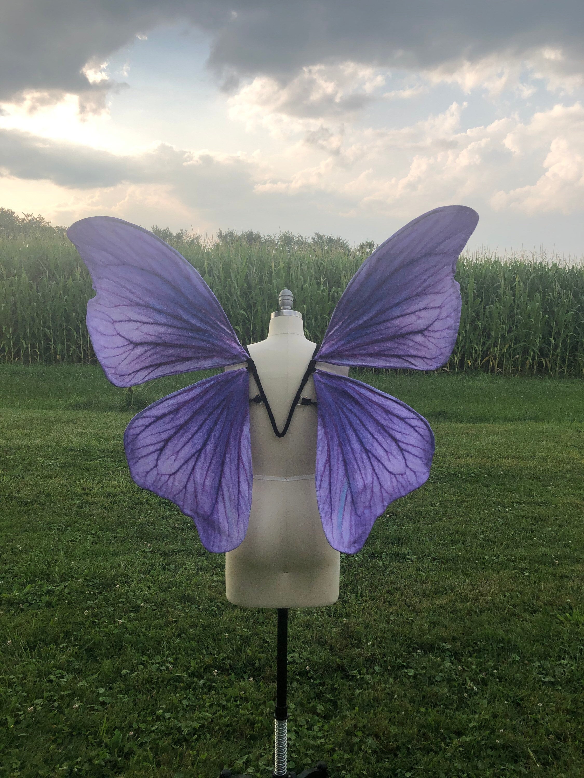 Fairy Wings Designs