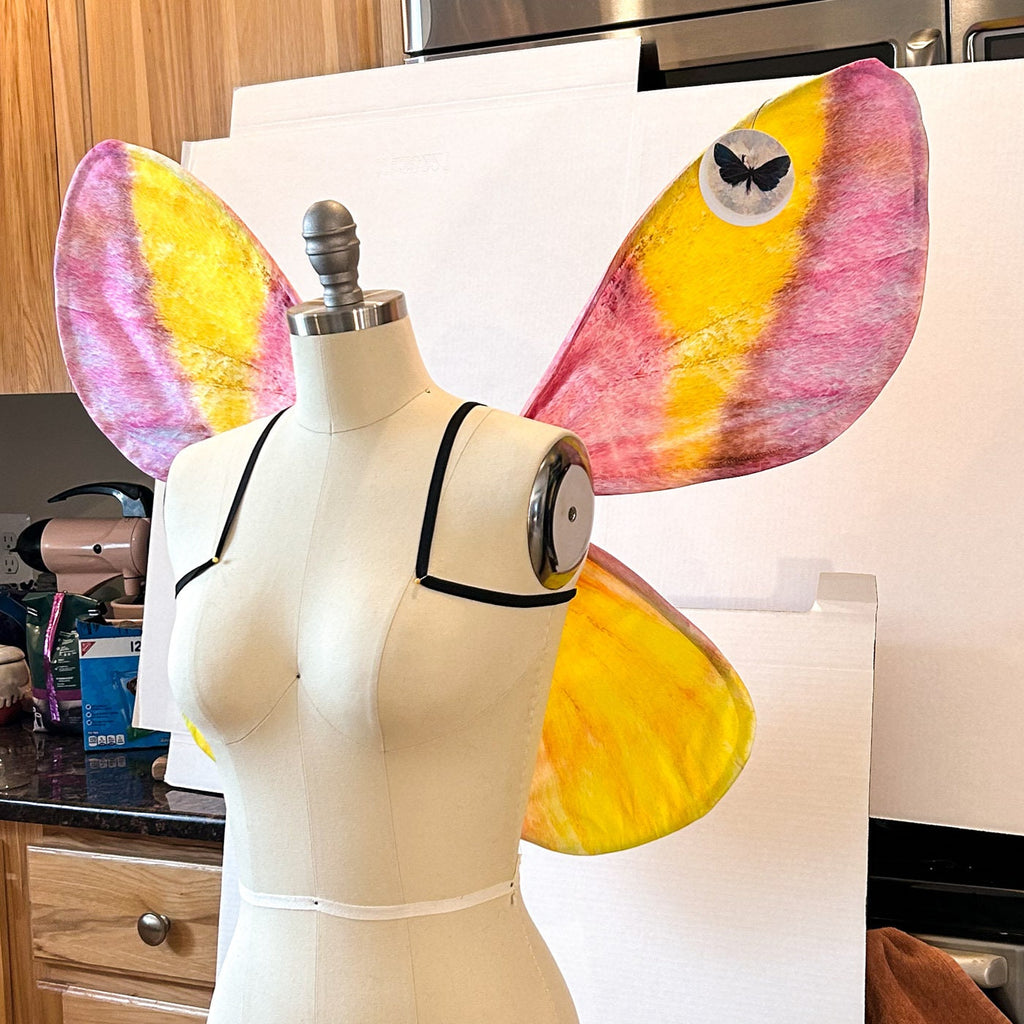 Medium Rosy Maple Moth Costume Wings for Halloween – Moon Moth Wings