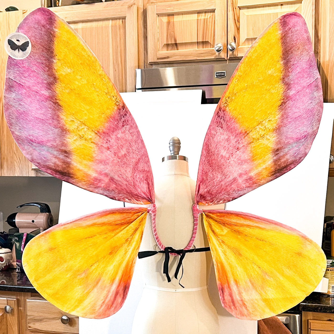 Large Rosy Maple Moth Costume Wings – Moon Moth Wings