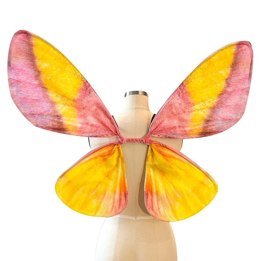 Medium Rosy Maple Moth Costume Wings for Halloween – Moon Moth Wings