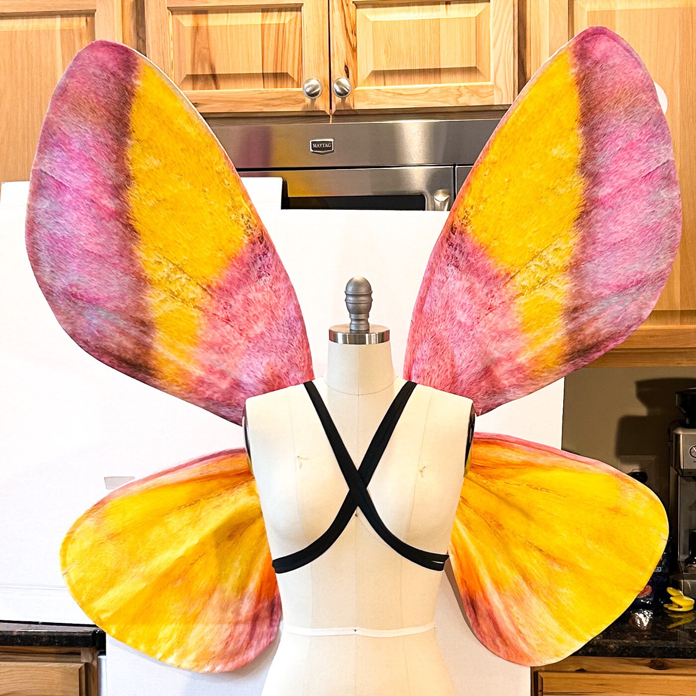 Large Rosy Maple Moth Costume Wings – Moon Moth Wings