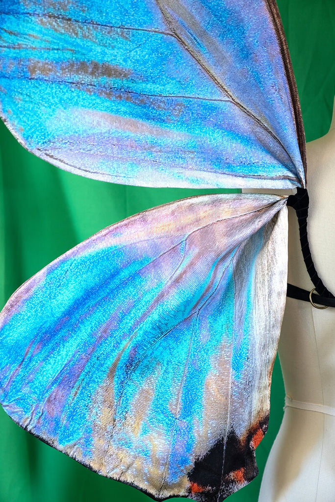 Large Blue Butterfly Costume Wings Morpho Sulkowskyi – Moon Moth Wings